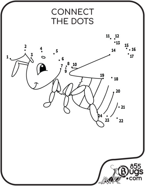 Teach Me About Bugs Activity Sheets | 855Bugs - Pest Control ...