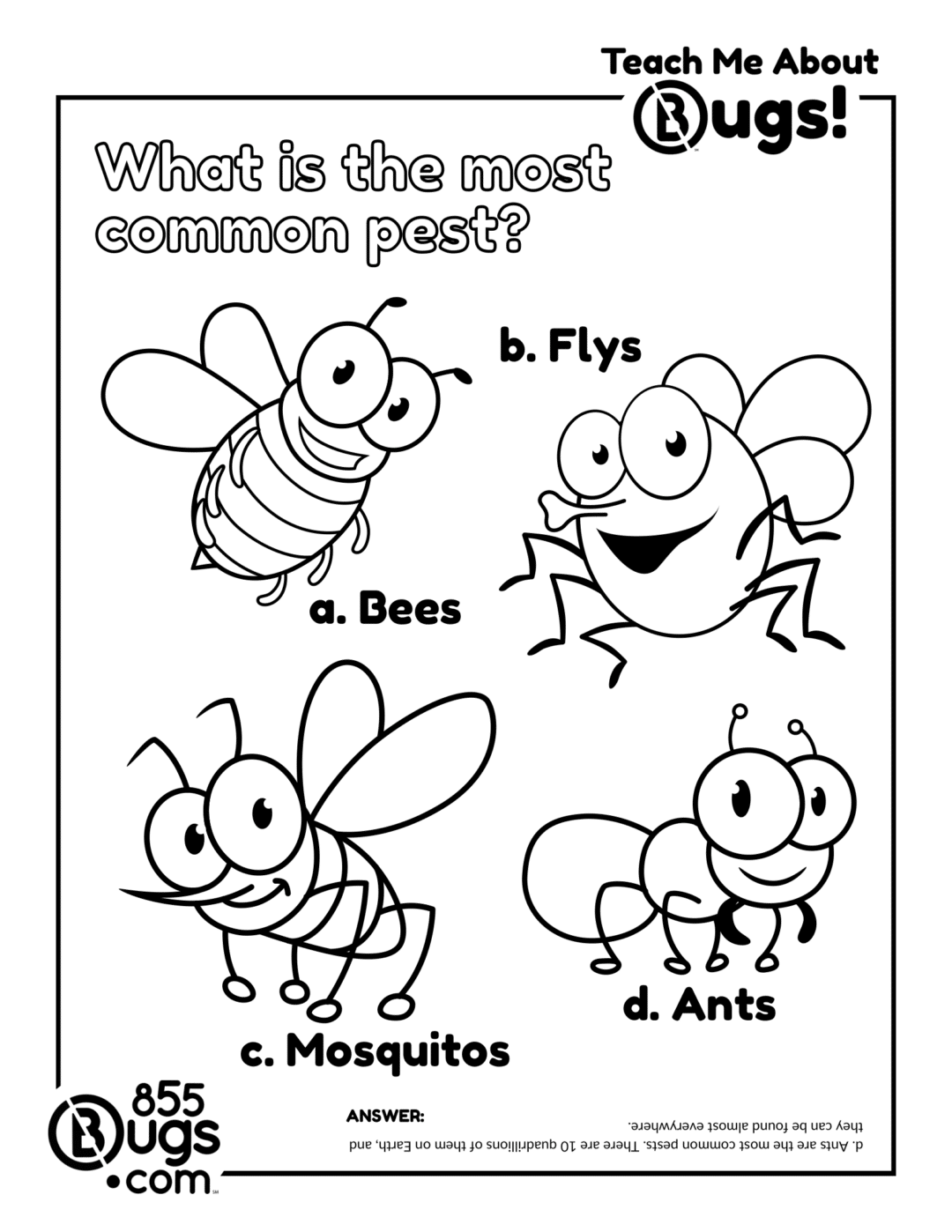 Teach Me About Bugs - 855Bugs.com